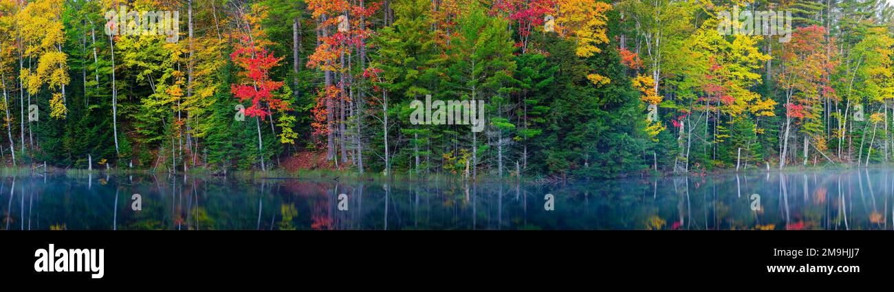 Forest on shore of Council Lake in autumn, Alger County, Michigan, USA ...