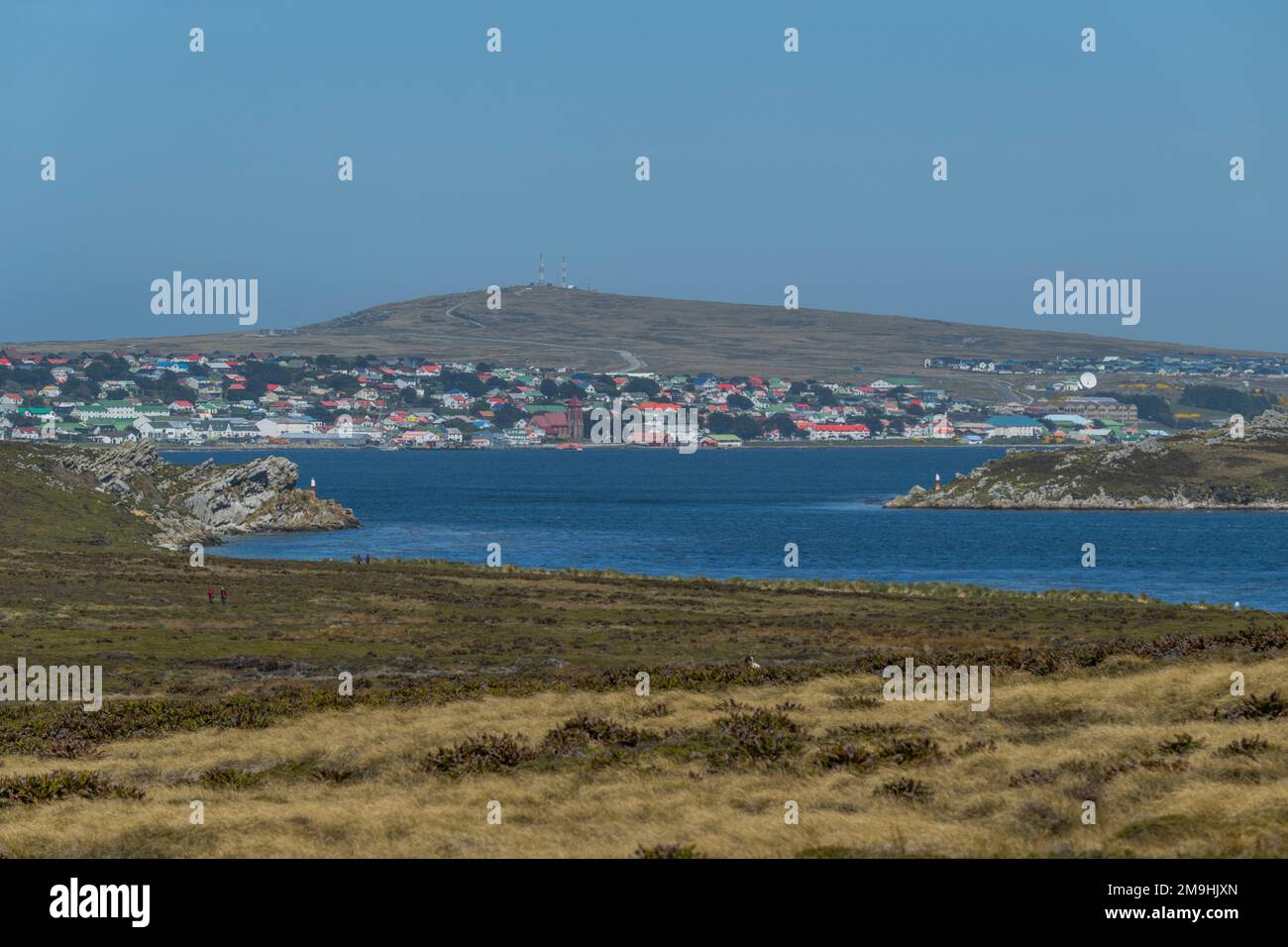 View of Port Stanley from Gypsy Cove, Falkland Islands Stock Photo - Alamy