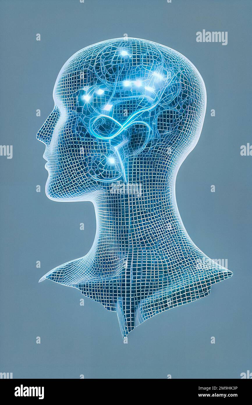 Human body internal organs head hi-res stock photography and images - Alamy