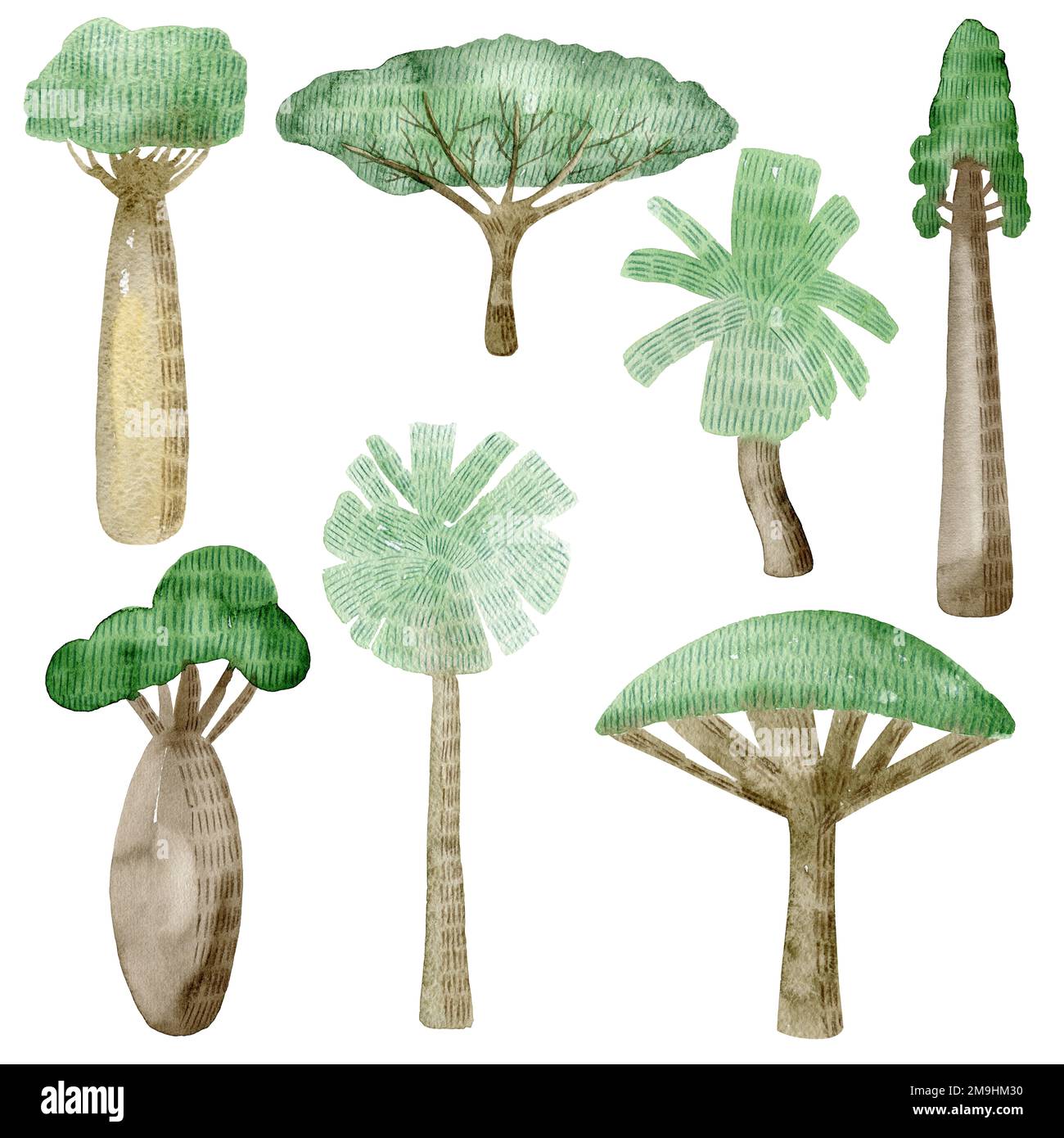 Set of watercolor australian trees Stock Photo - Alamy