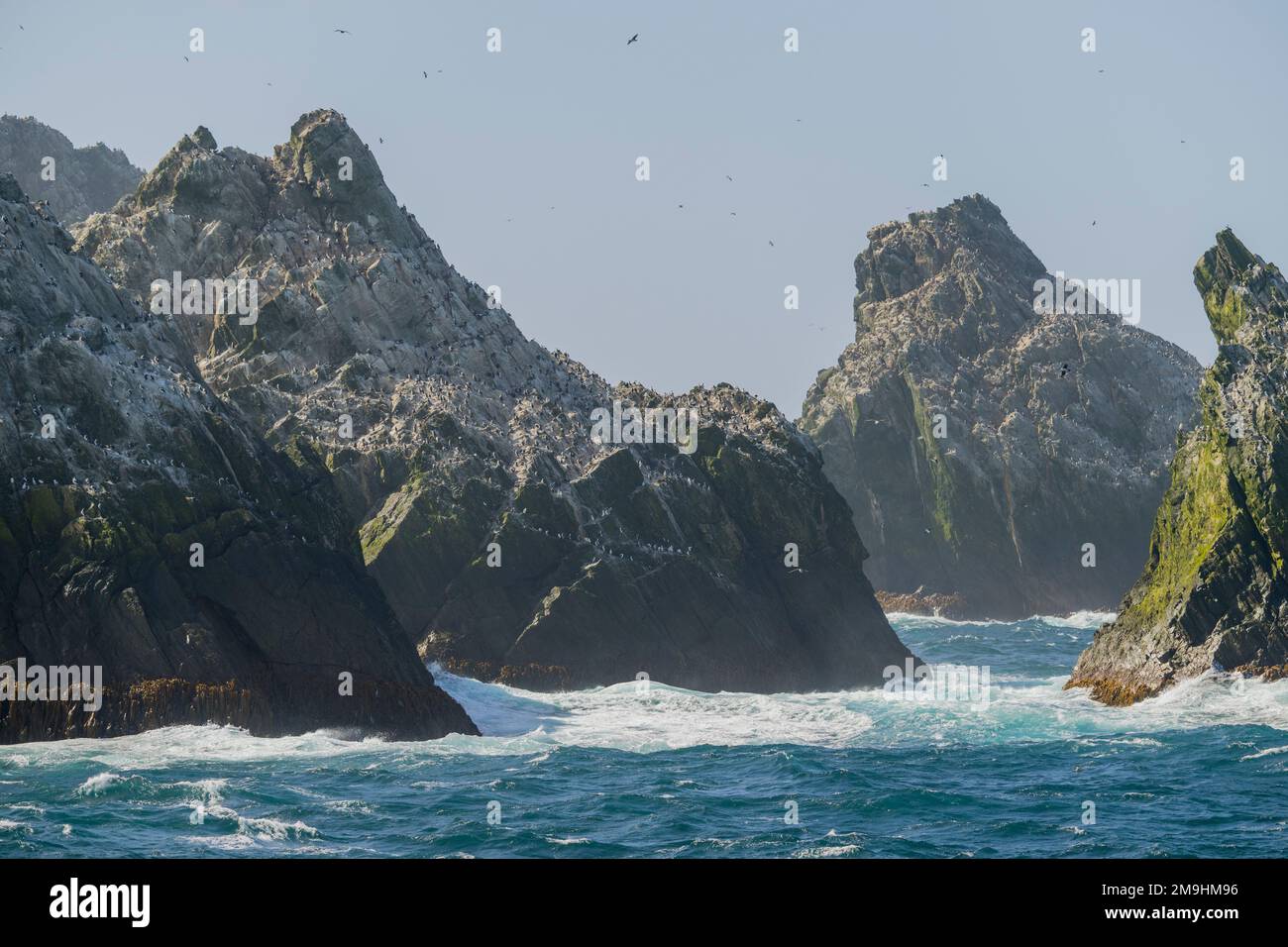 Shag rocks hi-res stock photography and images - Alamy