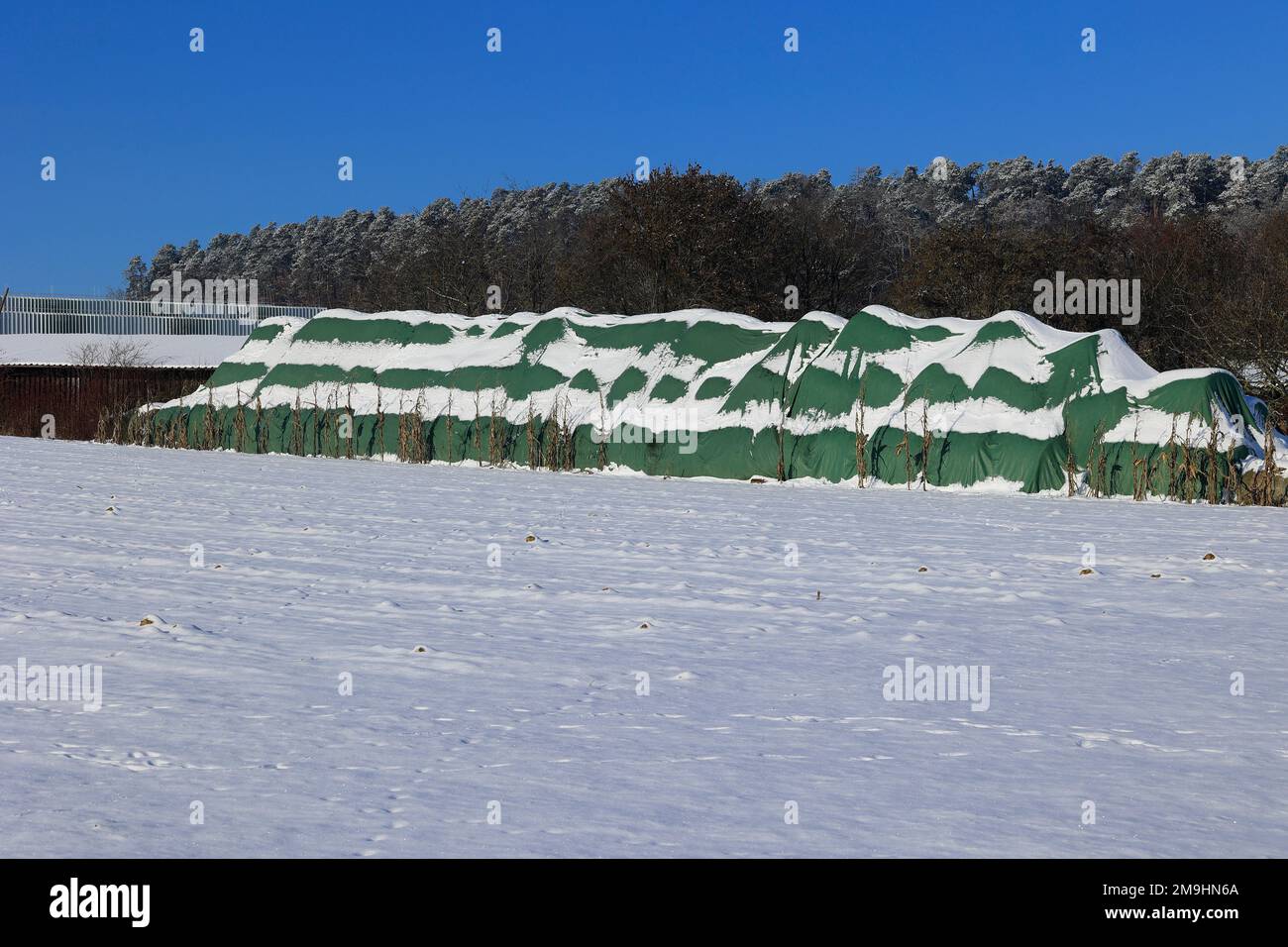 Hay bales are covered with foil and protected against snow Stock Photo ...