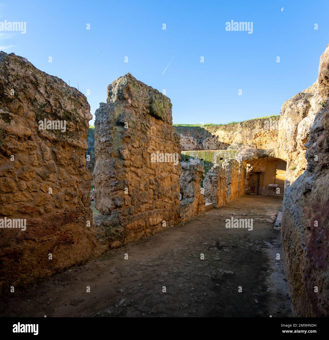 The Tomb of Servilia located within the Roman Necropolis of Carmona ...