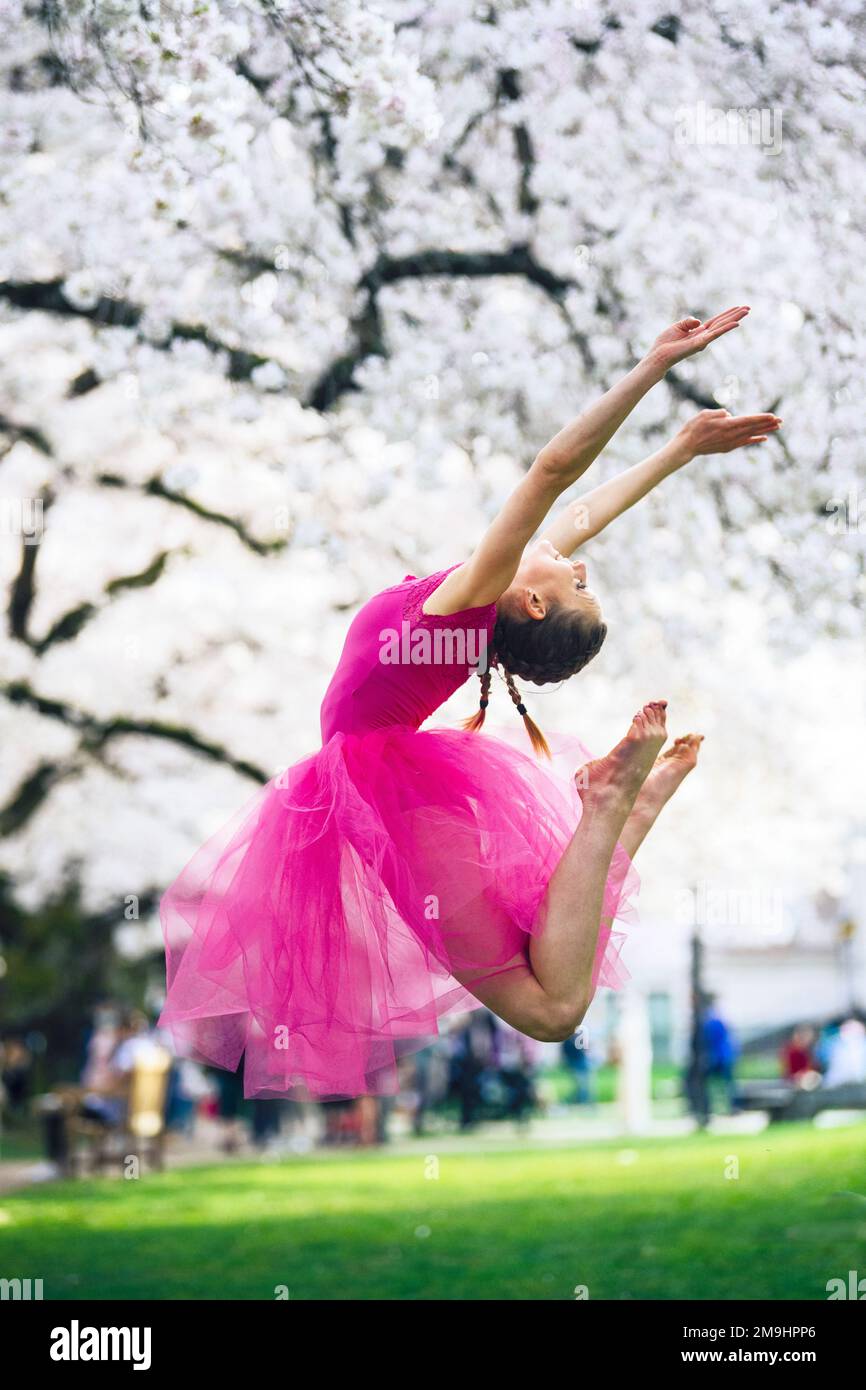 Acrobat in pink dress jumping under cherry blossom in park, University ...