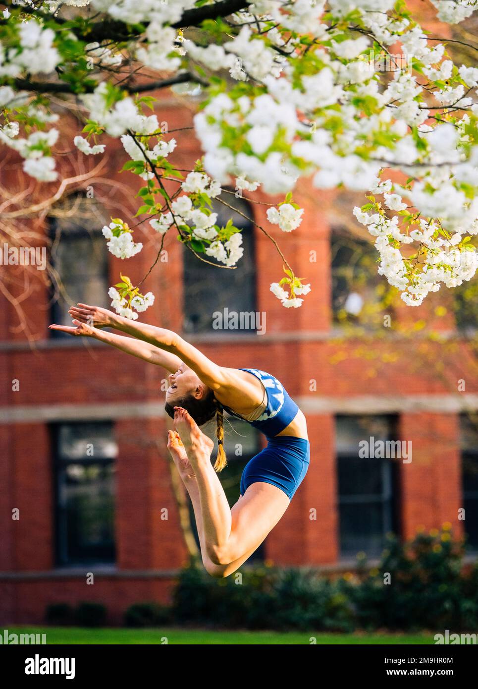 Acrobat in blue clothing jumping under cherry blossom in park ...