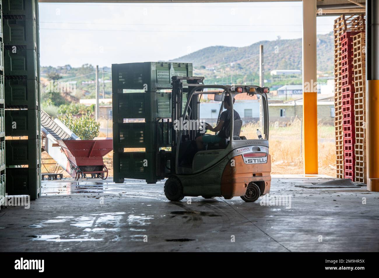 Cereal and citrus cooperative, Puerto Gil, Spain Stock Photo - Alamy