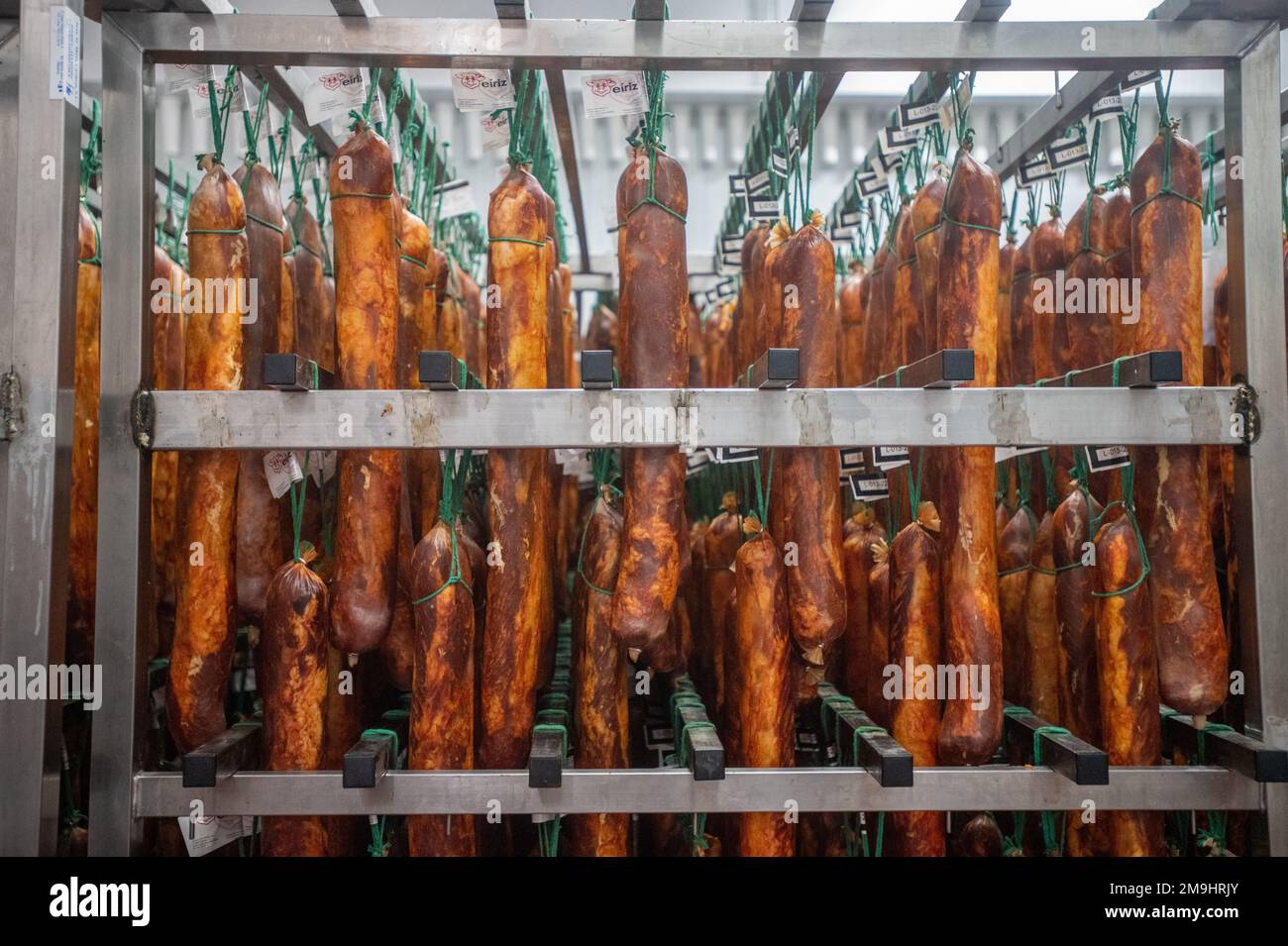 Production of iberian ham (cured ham), Puerto Gil, Spain Stock Photo ...