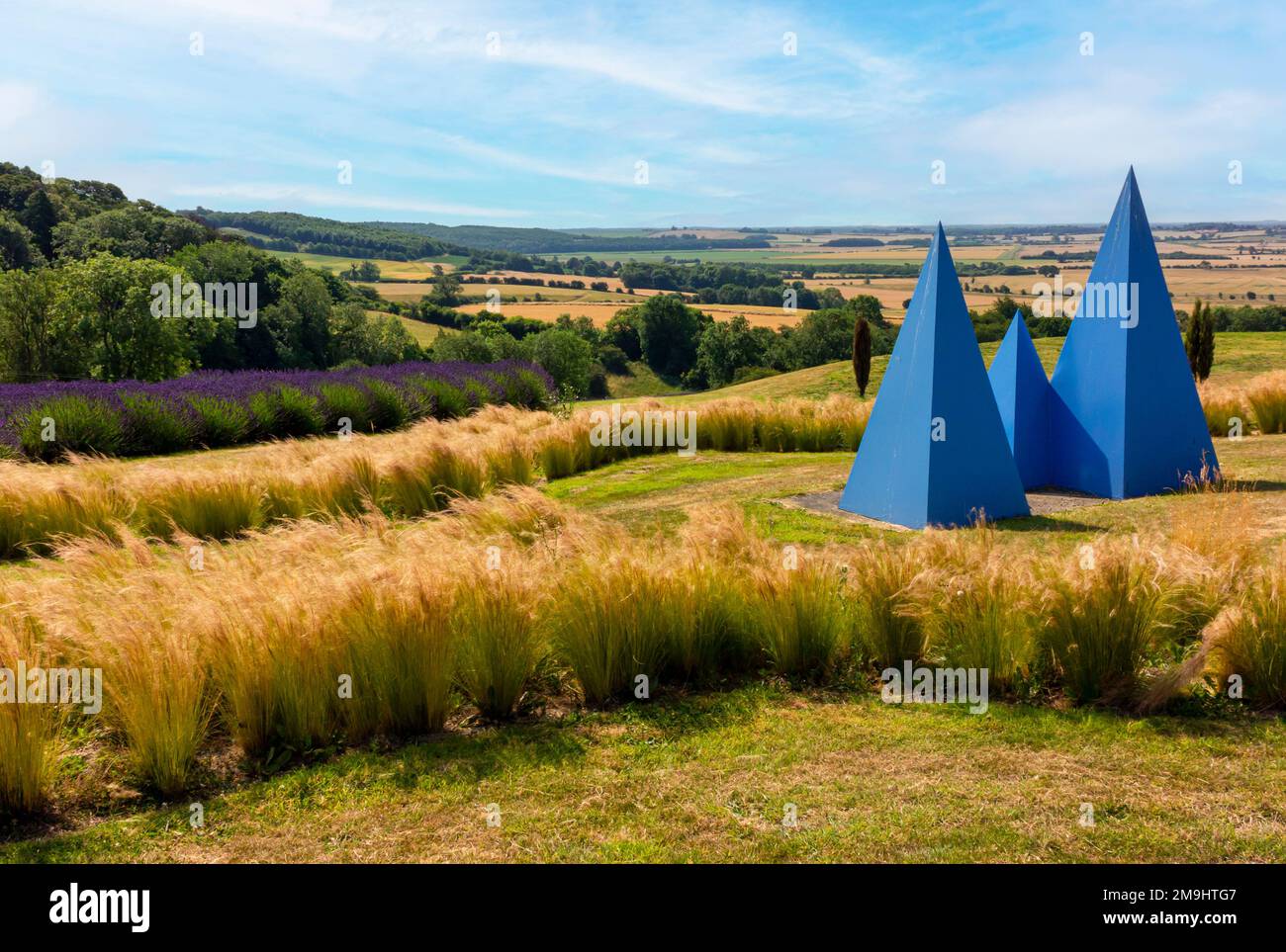 Pyramid sculptures amongst Lavender growing in summer at Yorkshire ...