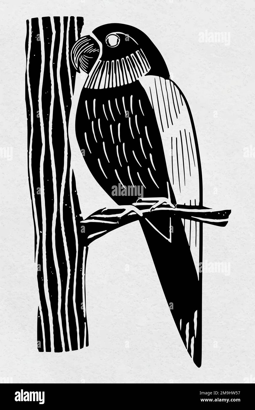 Vintage parrot vector bird hand drawn clipart Stock Vector Image & Art ...