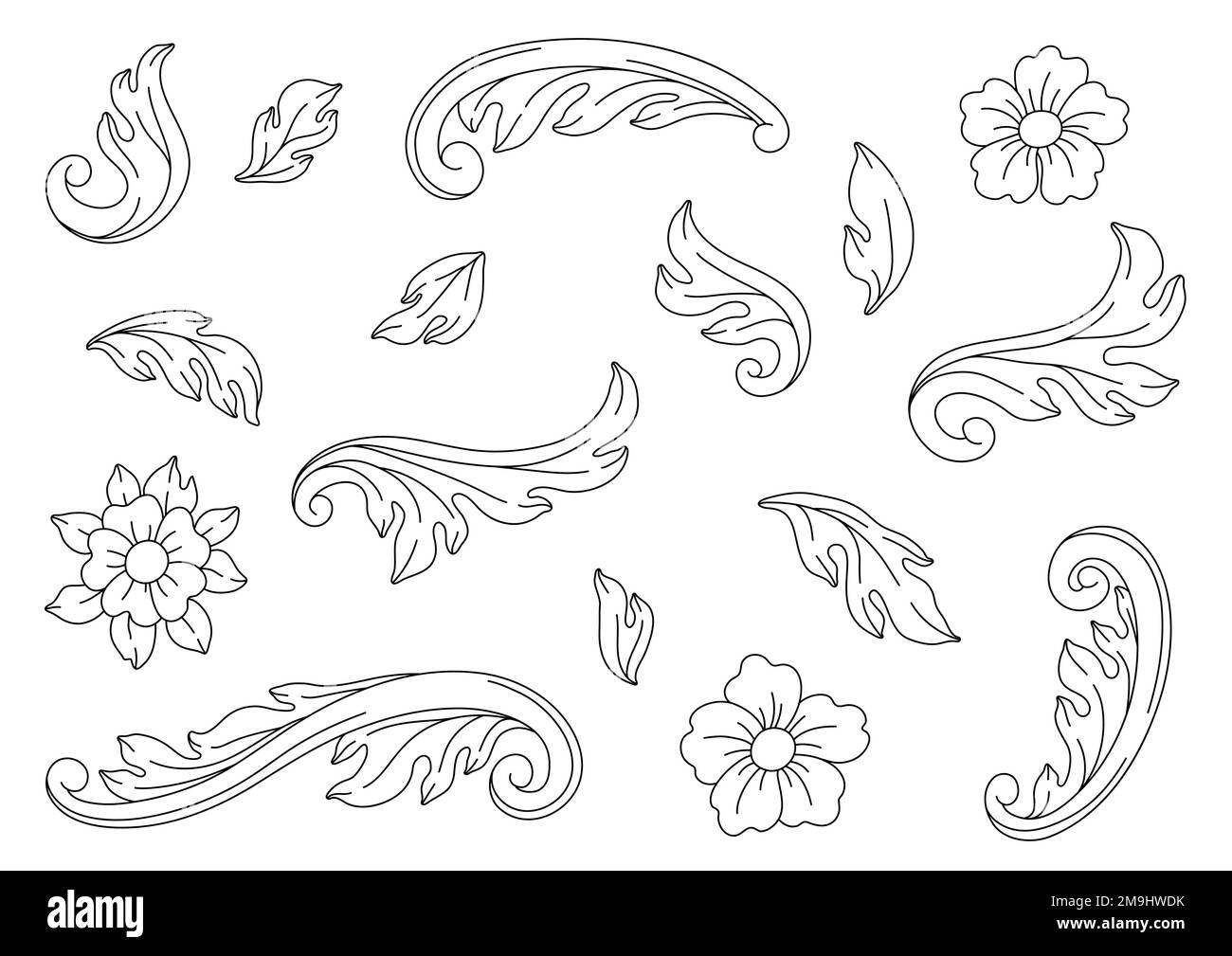 Decorative set of floral elements in baroque style. Black curling plant ...