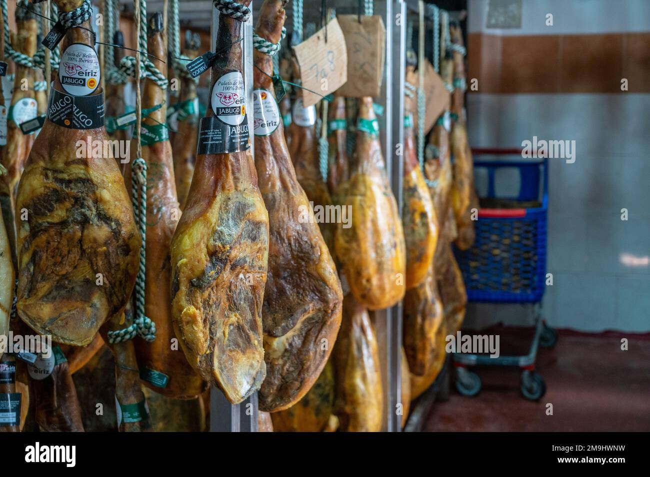 Production of iberian ham (cured ham), Puerto Gil, Spain Stock Photo ...