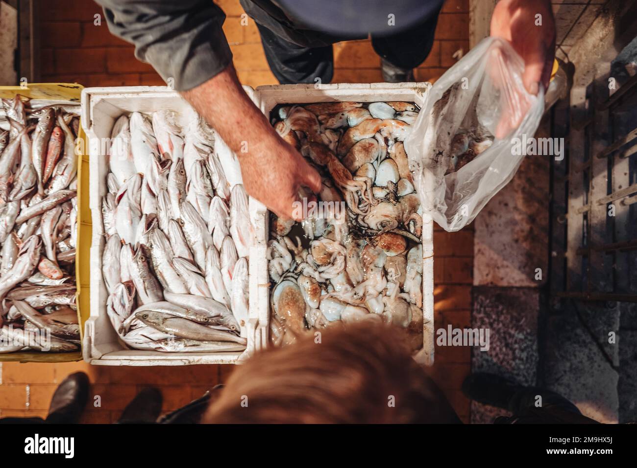 Mola di Bari, Italy - December 2022: local life scene by the fish ...