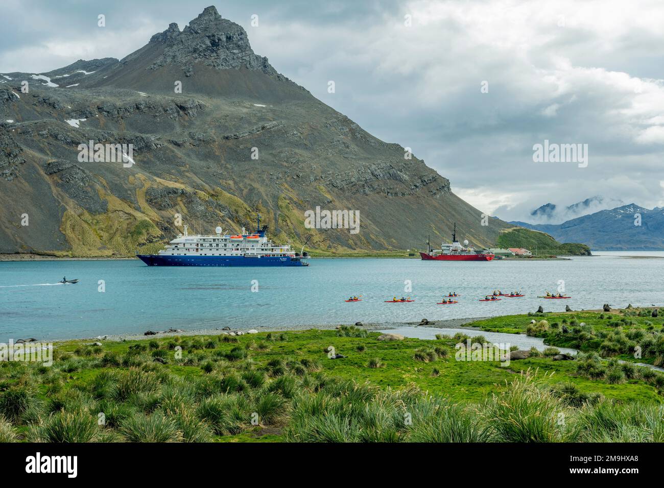 The m/v Sea Spirit at anchor in the bay of Grytviken, South Georgia ...