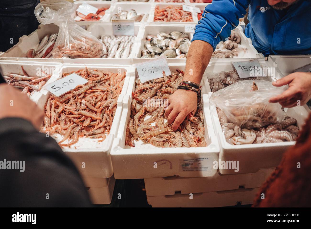 Mola di Bari, Italy - December 2022: local life scene by the fish ...