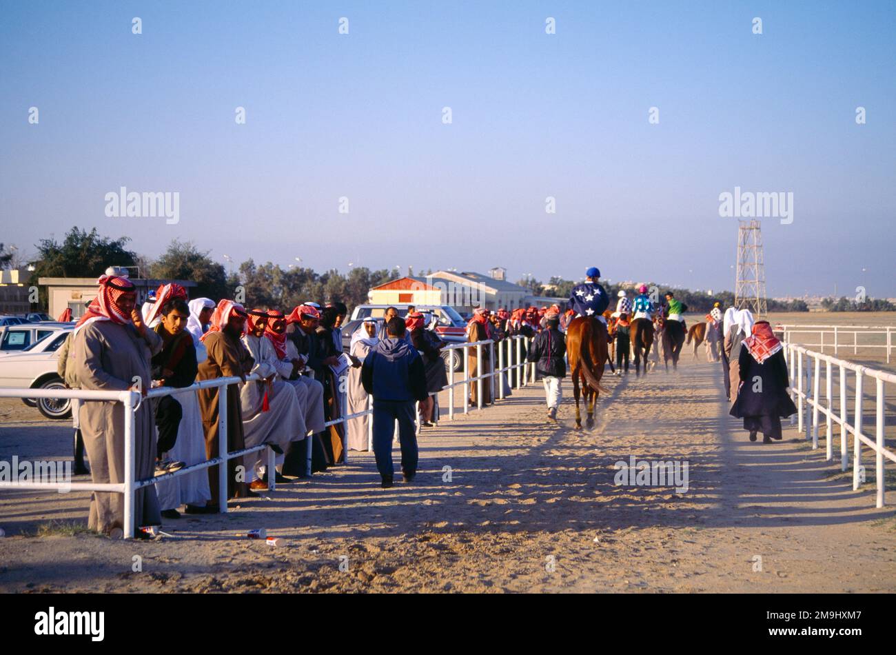 Kuwait horse hi-res stock photography and images - Alamy