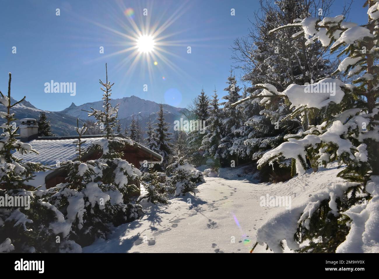 sunny snowy landscape in alpine mountains with fir trees and chalet ...