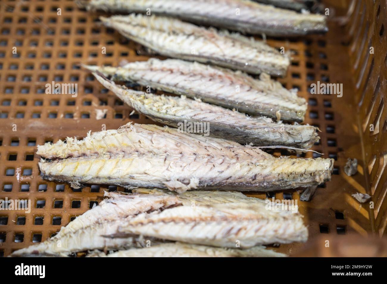 Dried fish, Fish canning factory (USISA), Isla Cristina, Spain Stock ...