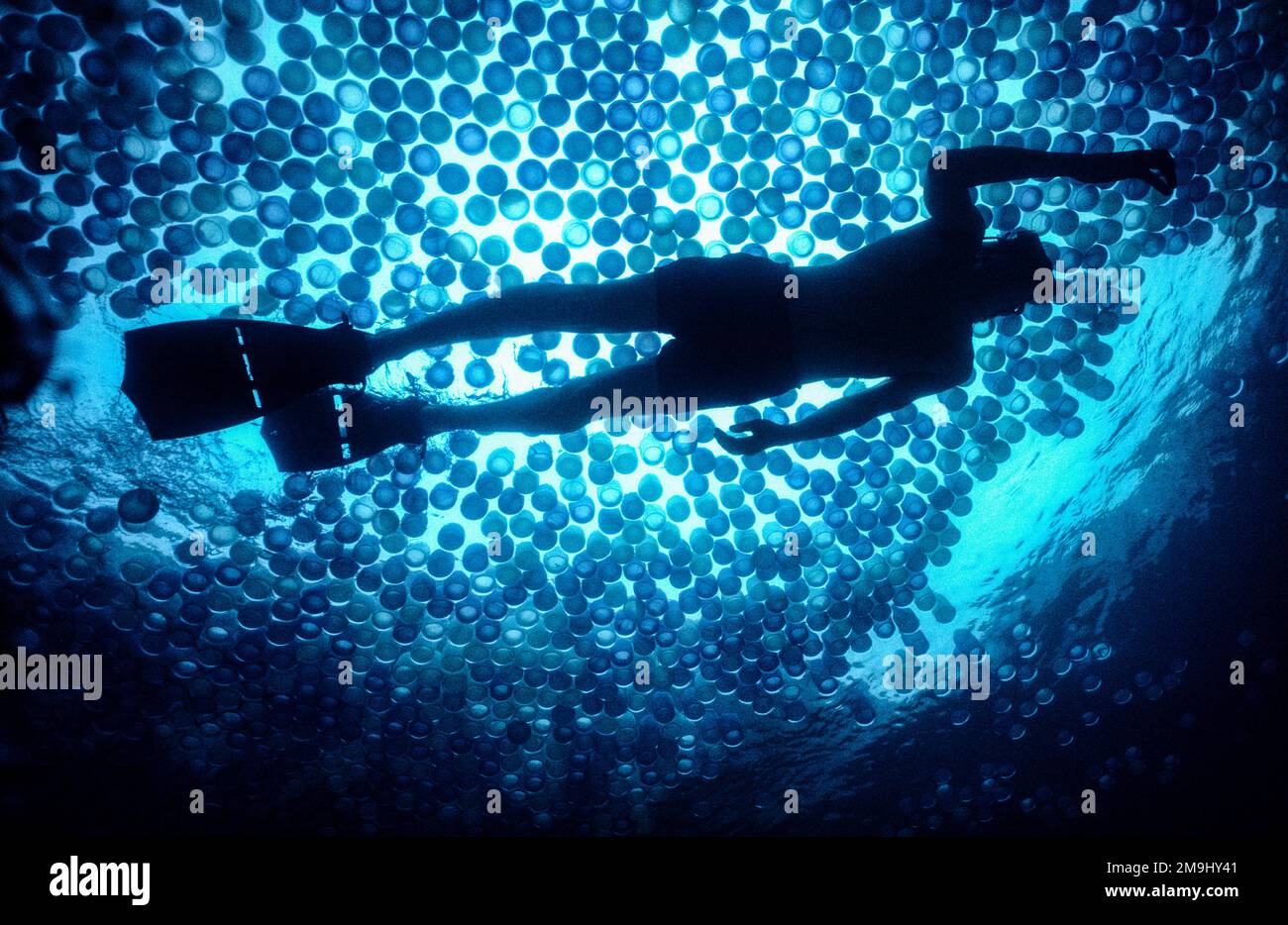 Man Snorkeling underwater Stock Photo - Alamy