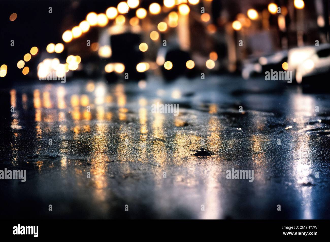 Night Lights Rain
