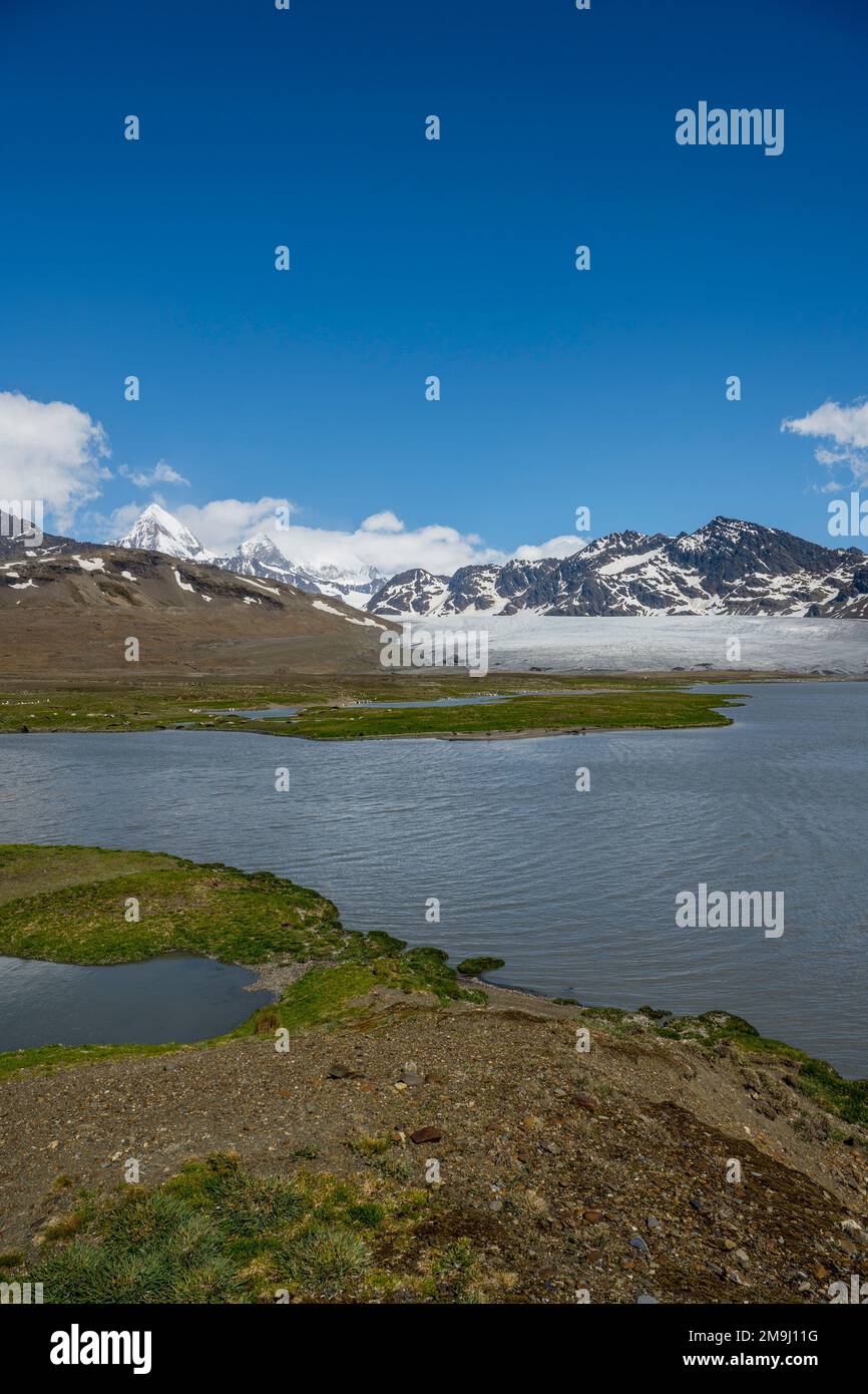 View of the glacial lagoon below the Heaney Glacier in St. Andrews Bay ...
