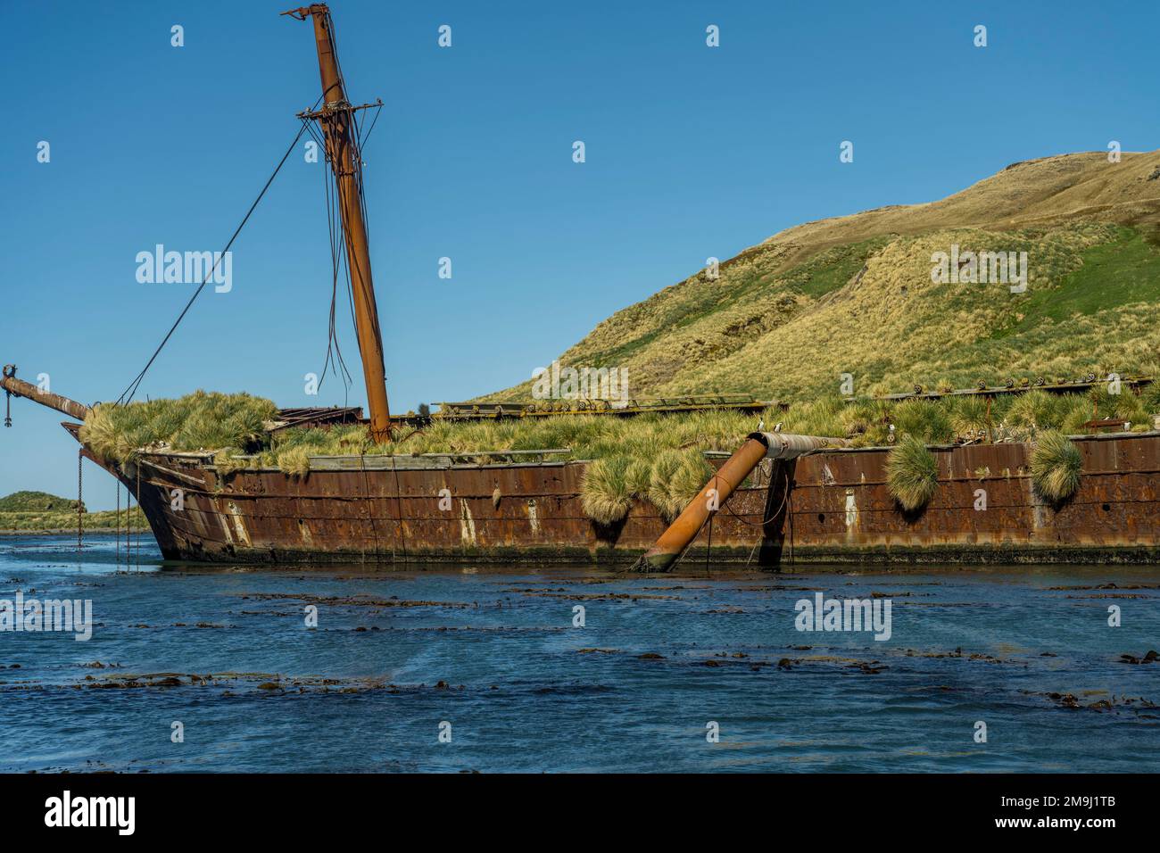 View of the rusting hulk of the Bayard, a three masted iron hulled ...