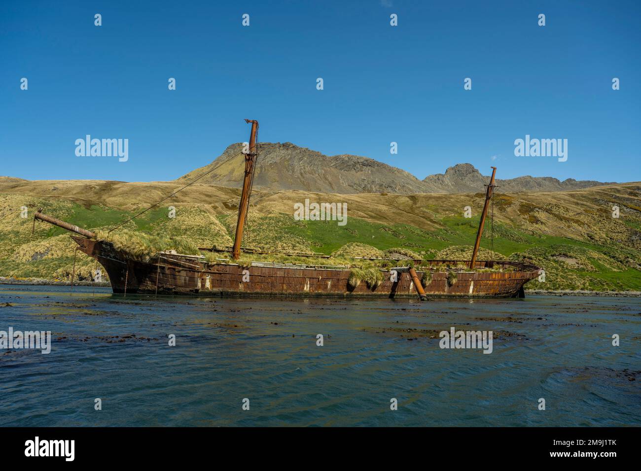 View of the rusting hulk of the Bayard, a three masted iron hulled ...