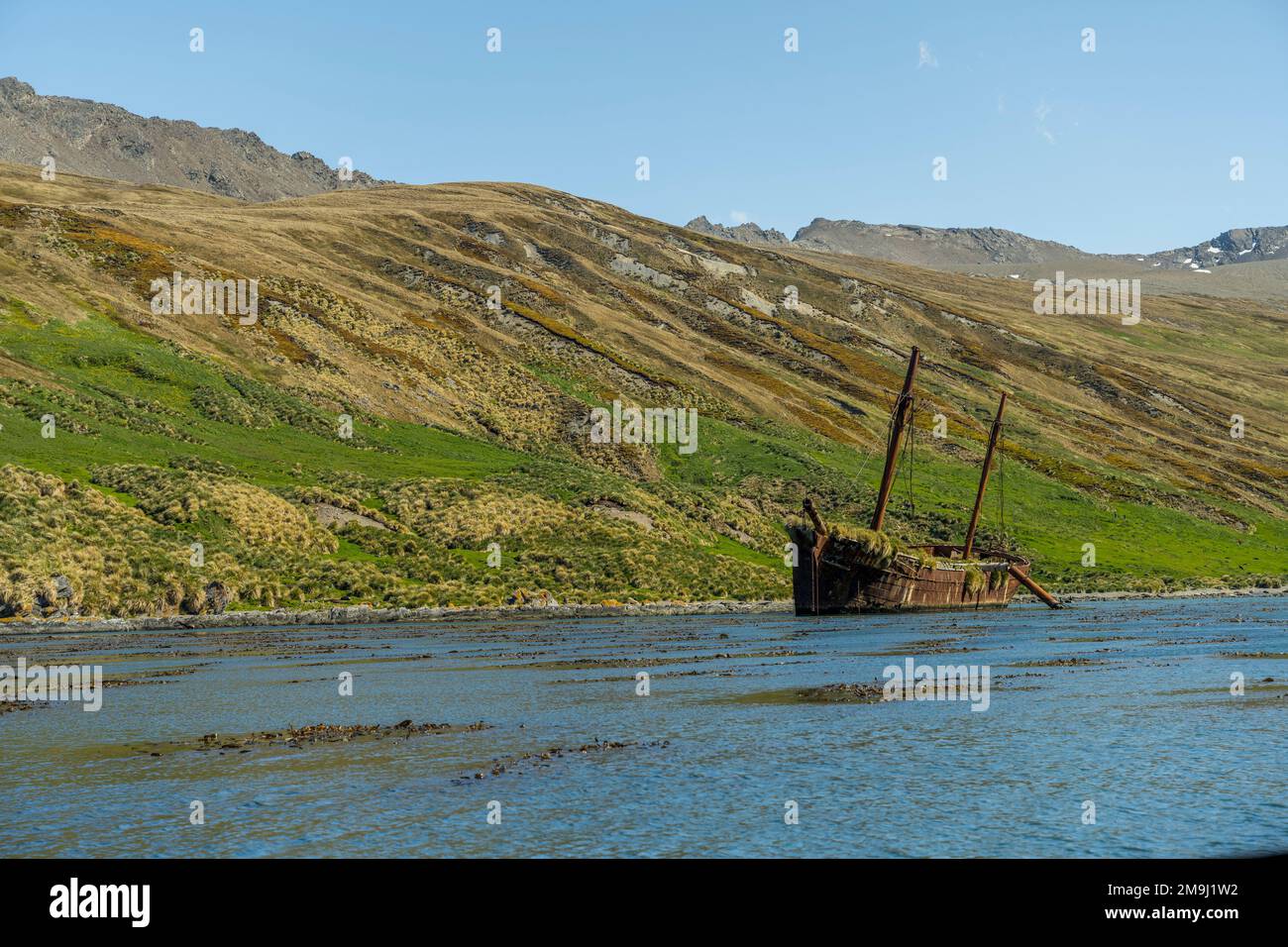 View of the rusting hulk of the Bayard, a three masted iron hulled ...
