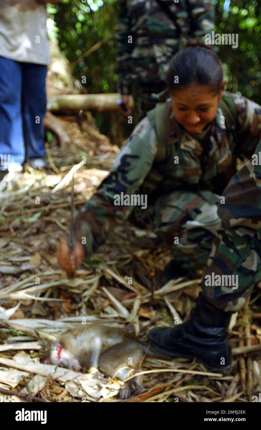 US Marine Corps (USMC) Corporal (CPL) M. Moreno, with the combat ...