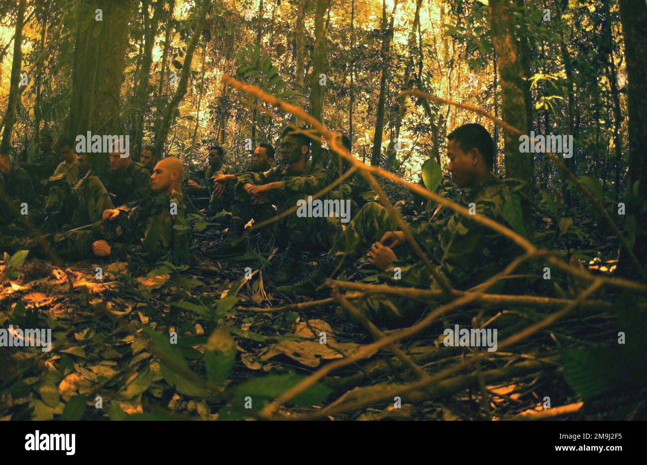 Deep in the jungle, US Marine Corps (USMC) personnel and foreign ...