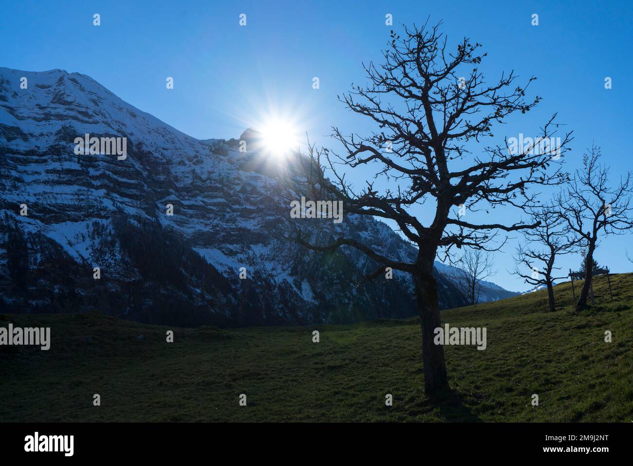 Mountains and tree sunset hi-res stock photography and images - Alamy