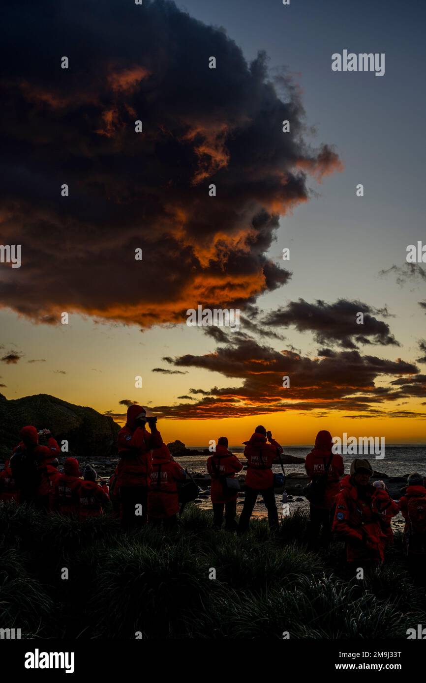 Tourists watching the sunrise at Gold Harbor, on South Georgia Island ...