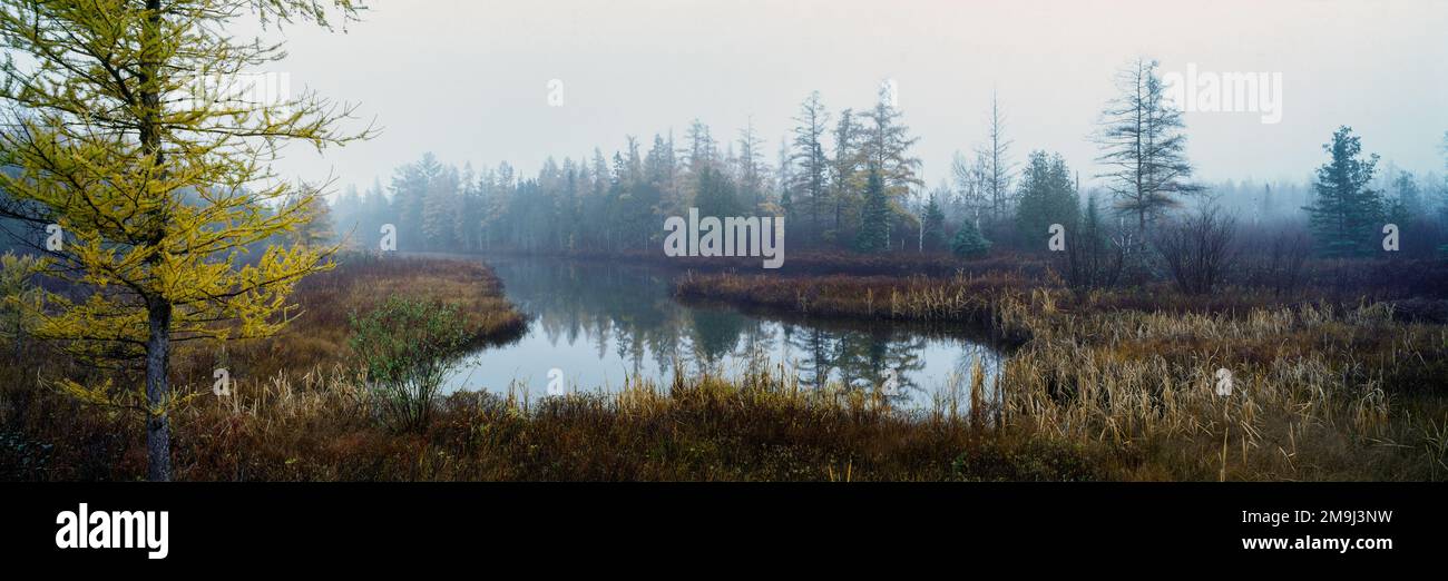 Wetland landscape hi-res stock photography and images - Alamy