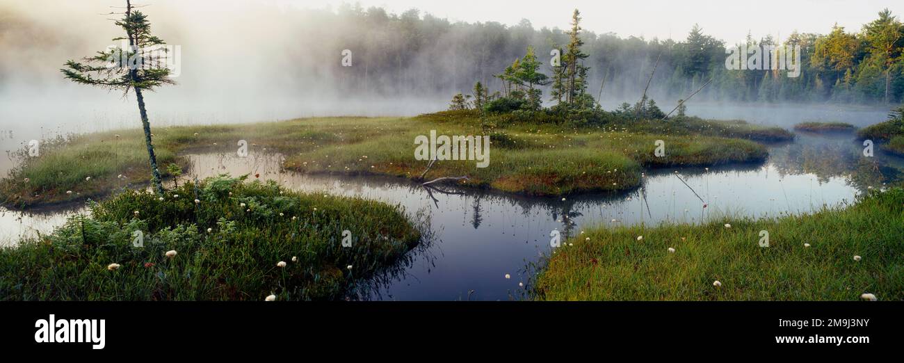 Nature in landscape hi-res stock photography and images - Alamy