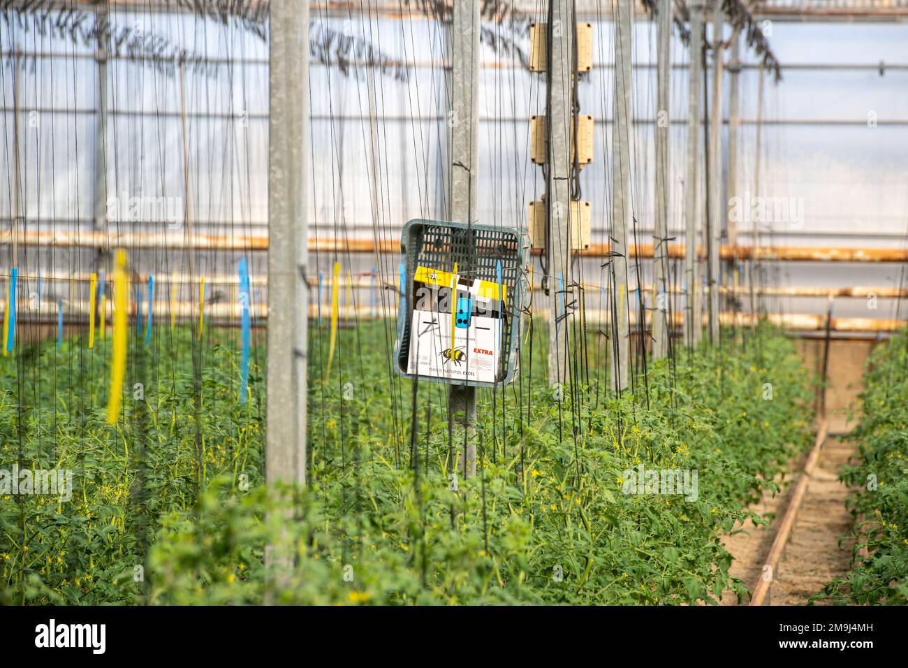 Bee boxes inside greenhouse for pollination in Almeria, ÒThe European ...