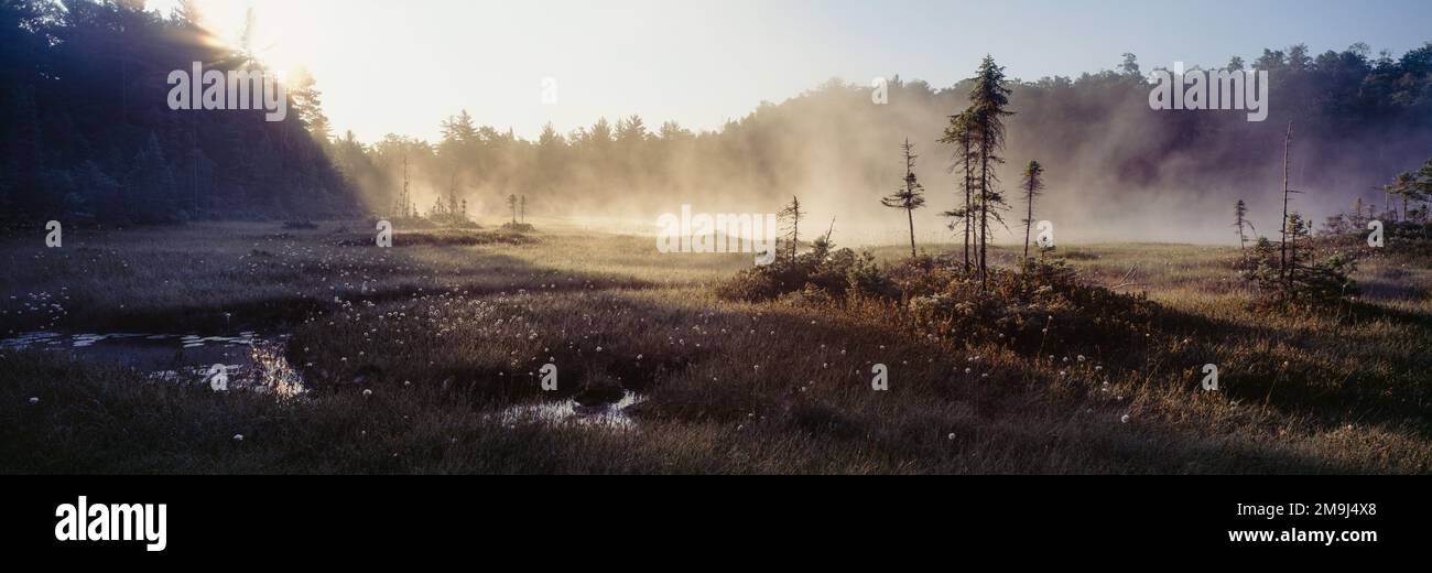 Bog people hi-res stock photography and images - Alamy