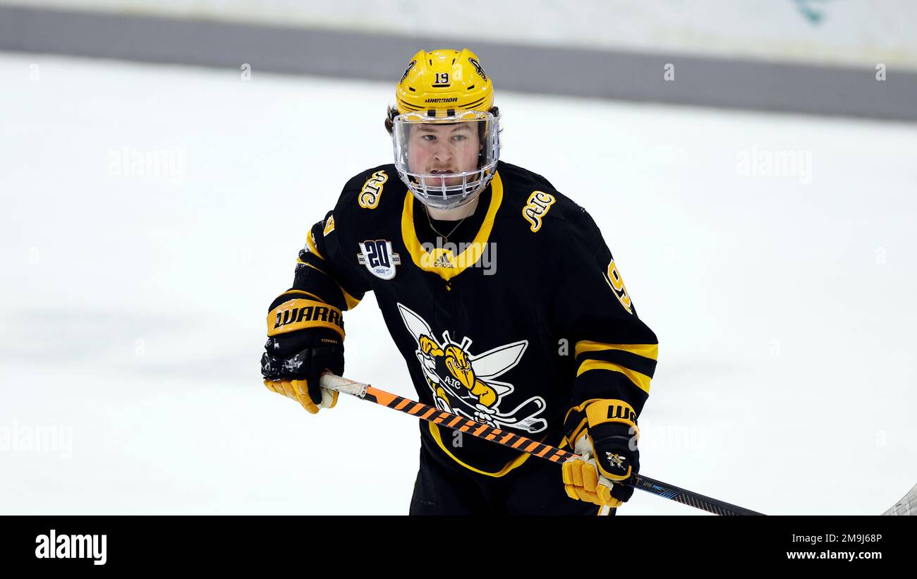 American International's forward Jordan Biro (19) skates against the ...