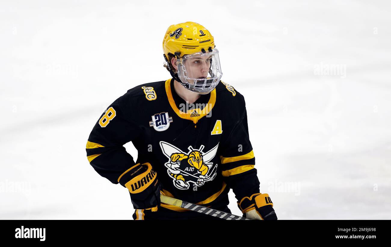 American International's defenseman Luis Lindner (8) skates against the ...
