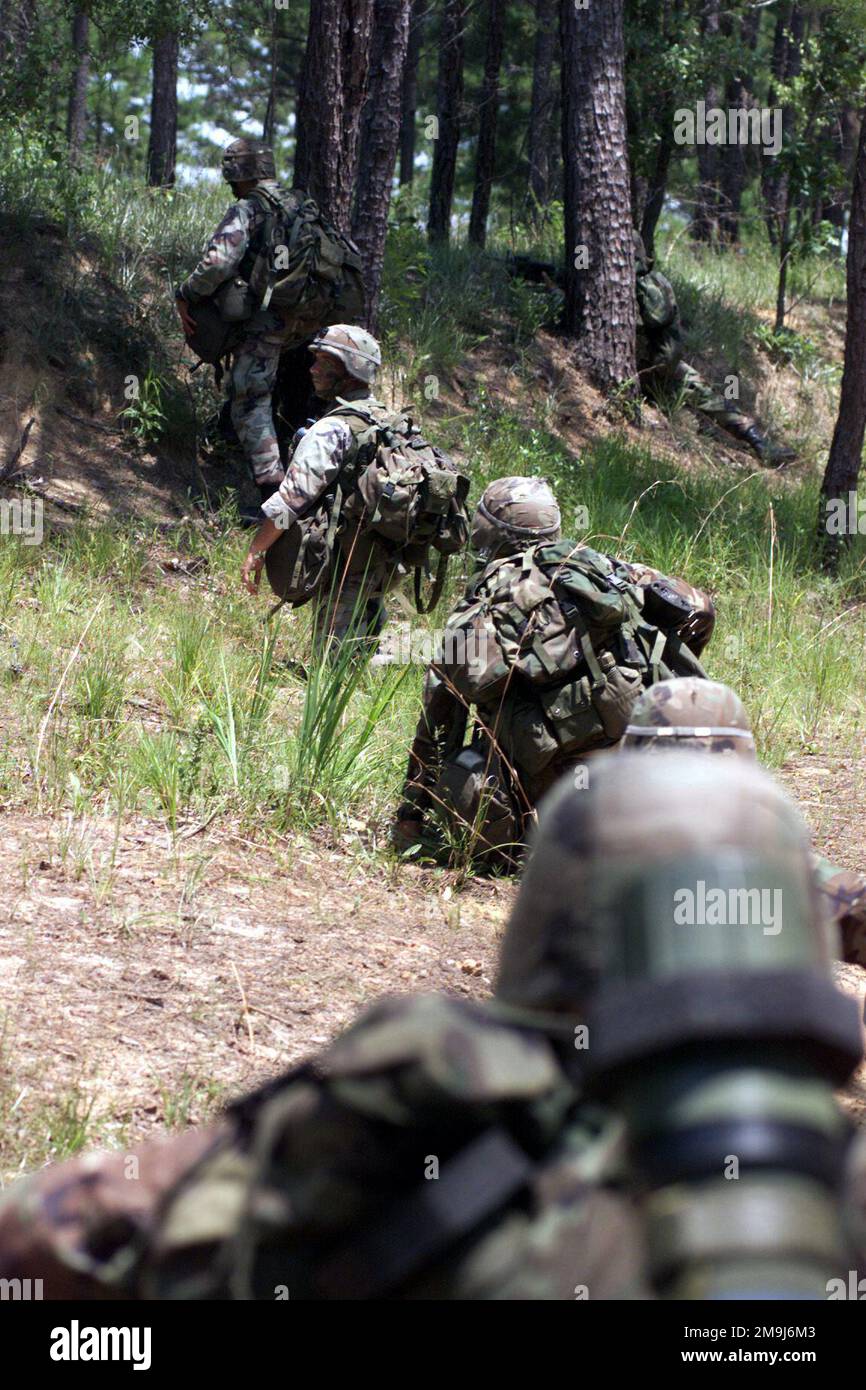 Released by 24 meu pao capt da hi-res stock photography and images - Alamy