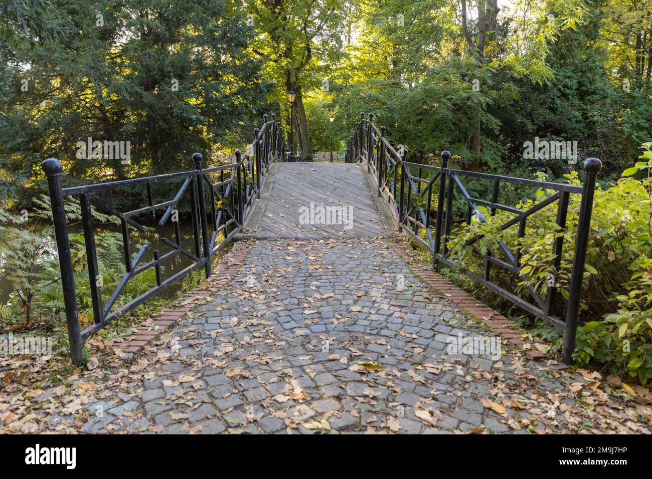 Bridge over the stream, steel and wood construction Stock Photo - Alamy