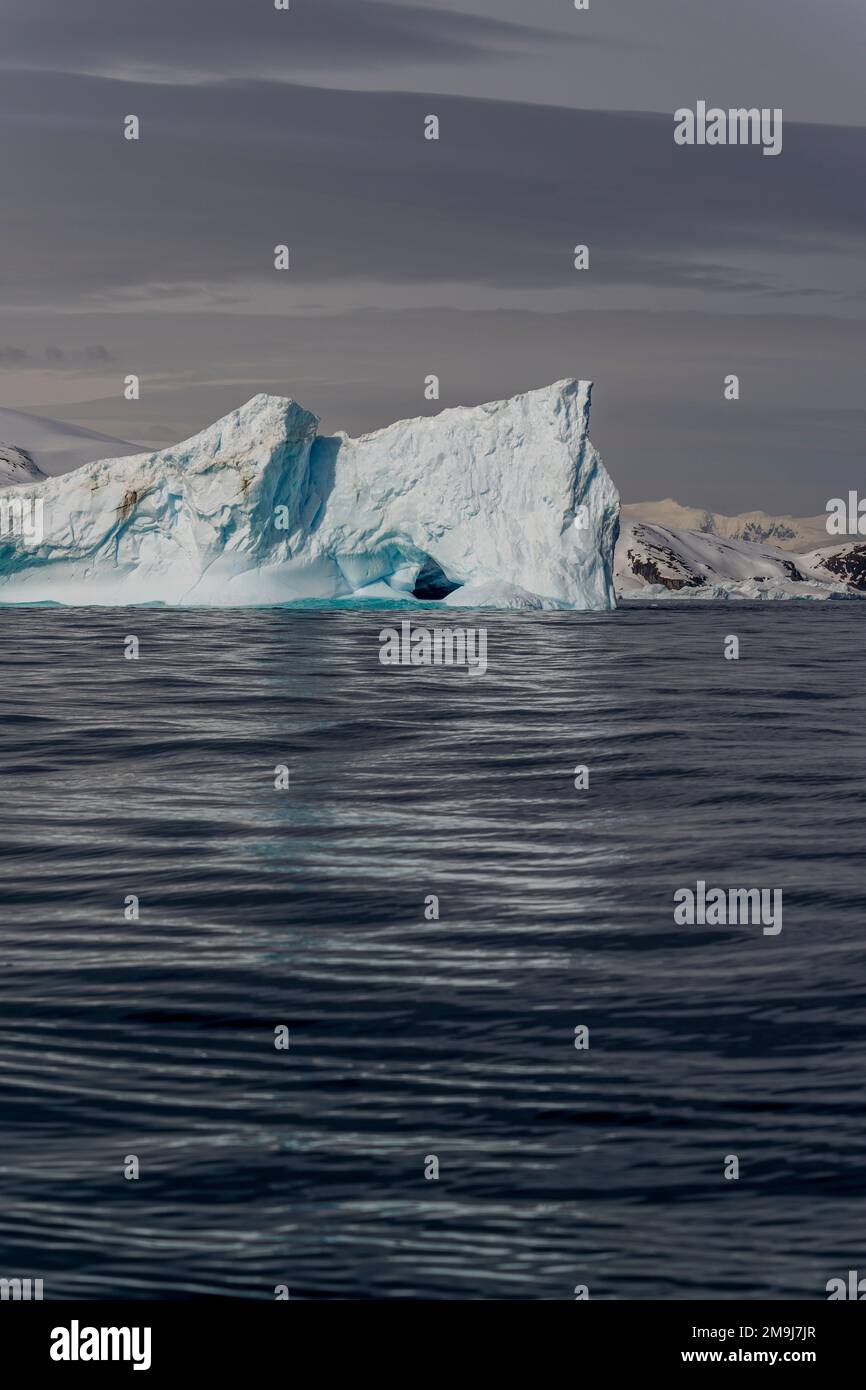 Icebergs floating in Cierva Cove, a cove along the west coast of Graham ...