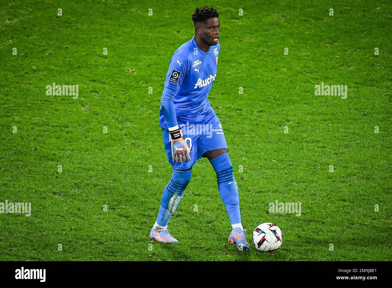 Brice samba lens hi-res stock photography and images - Alamy