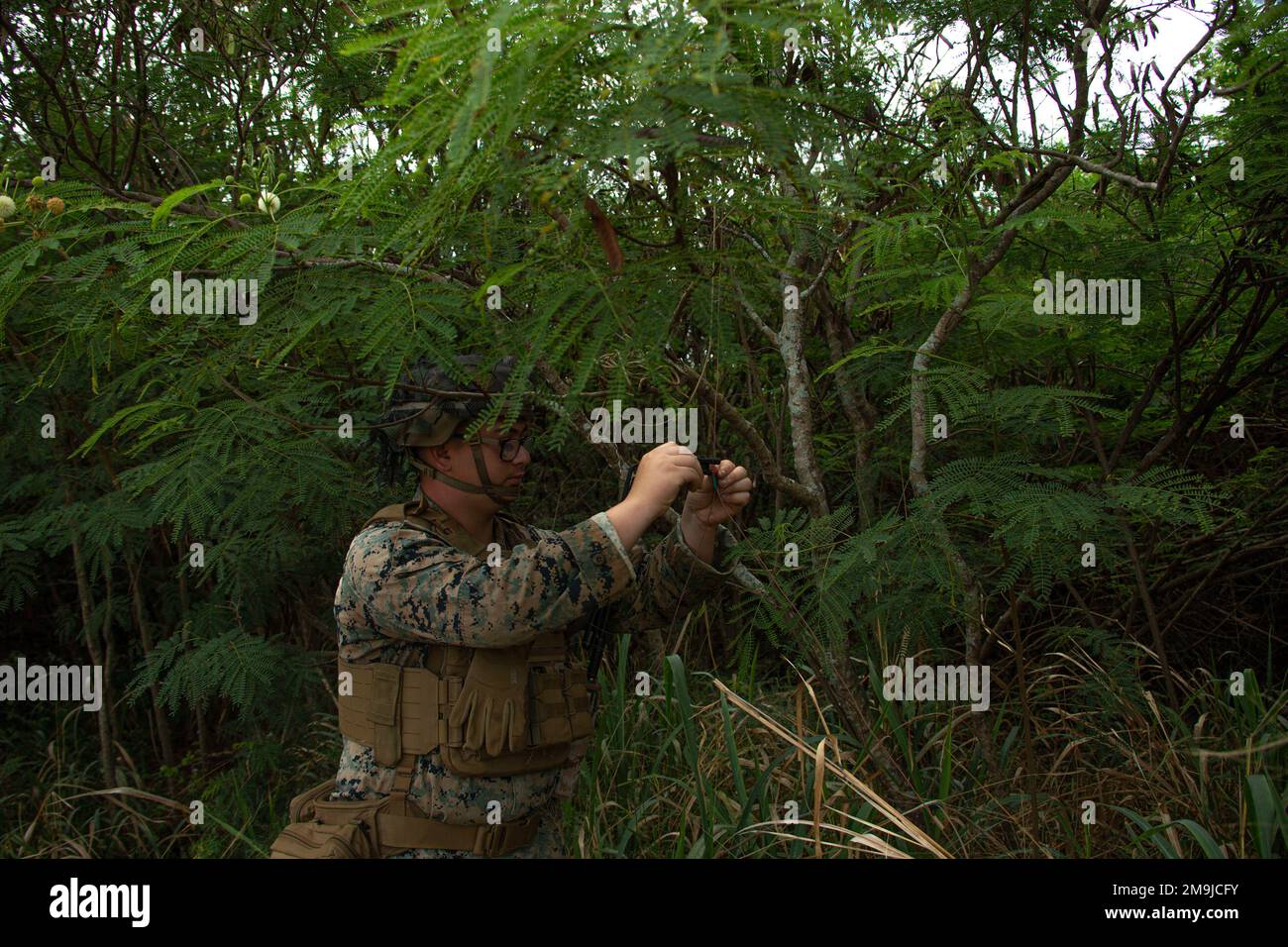 U.S. Marine Corps Lance Cpl. Gabriel Melo, field radio operator, 3d ...