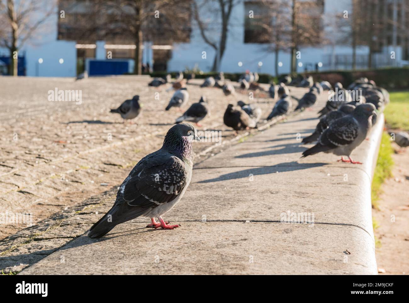 Rule of thirds sunlit hi-res stock photography and images - Alamy