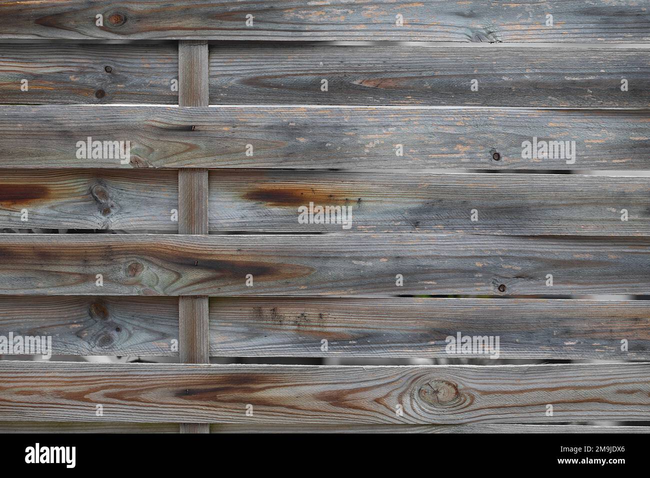Wooden line texture. Surface of wood texture with natural pattern ...
