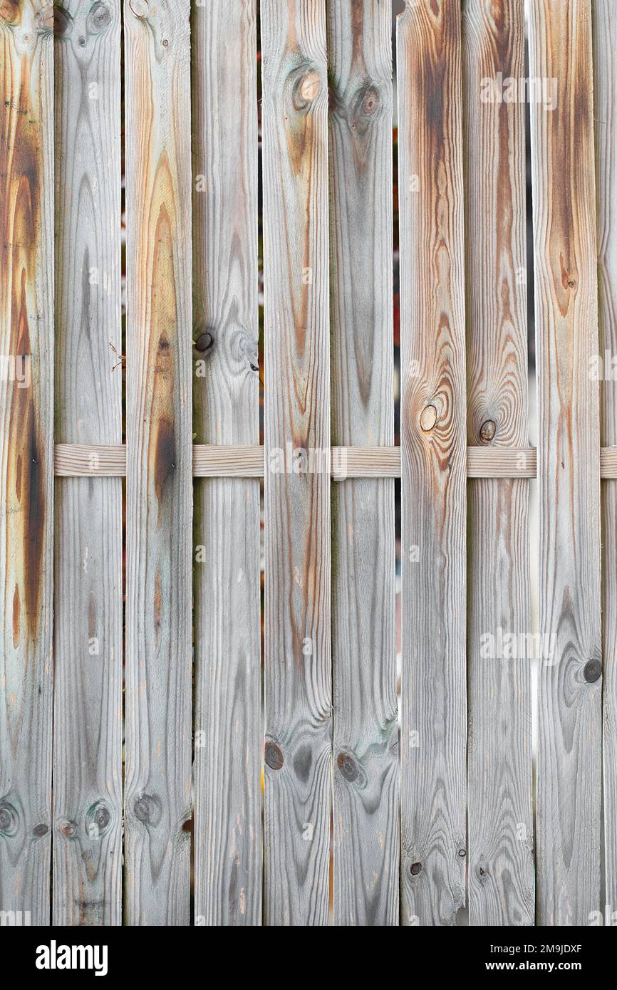 Wooden line texture. Surface of wood texture with natural pattern ...