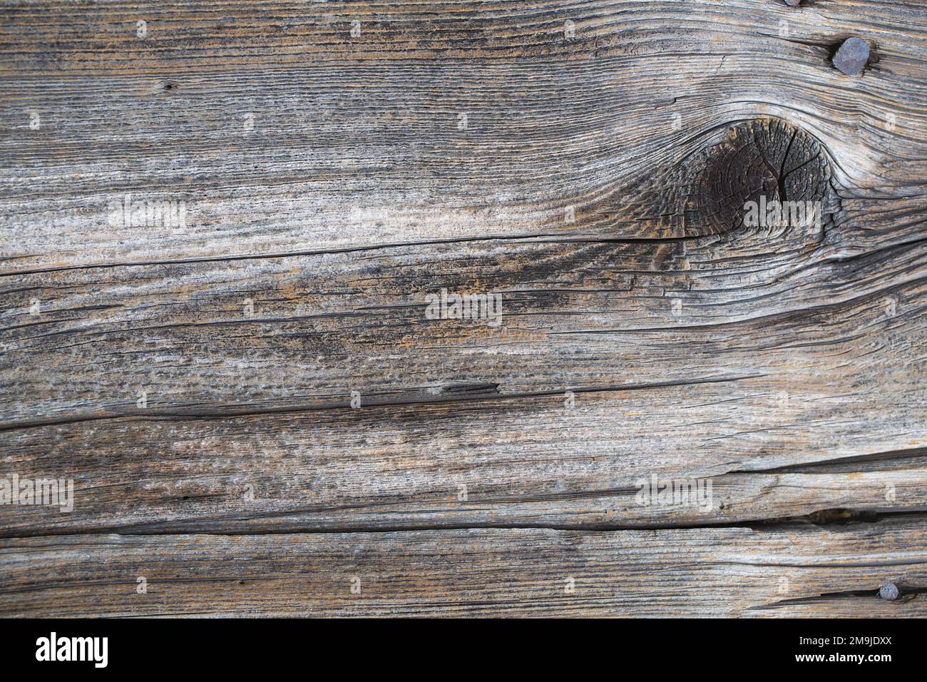 Wooden line texture. Surface of wood texture with natural pattern ...