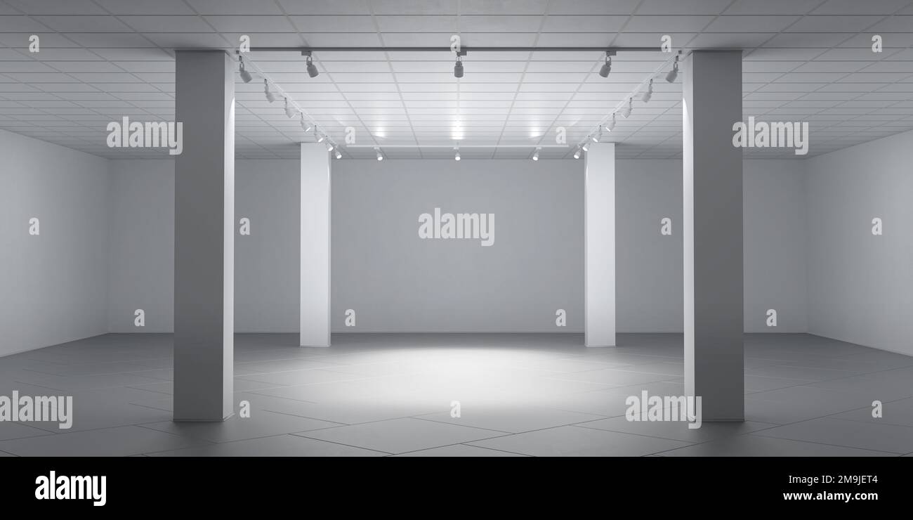 A white empty room, columns, spotlights, and an illuminated spot in the ...