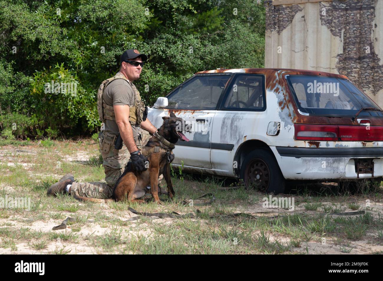 U.S. Army Military Working Dog Handler with the 7th special forces ...