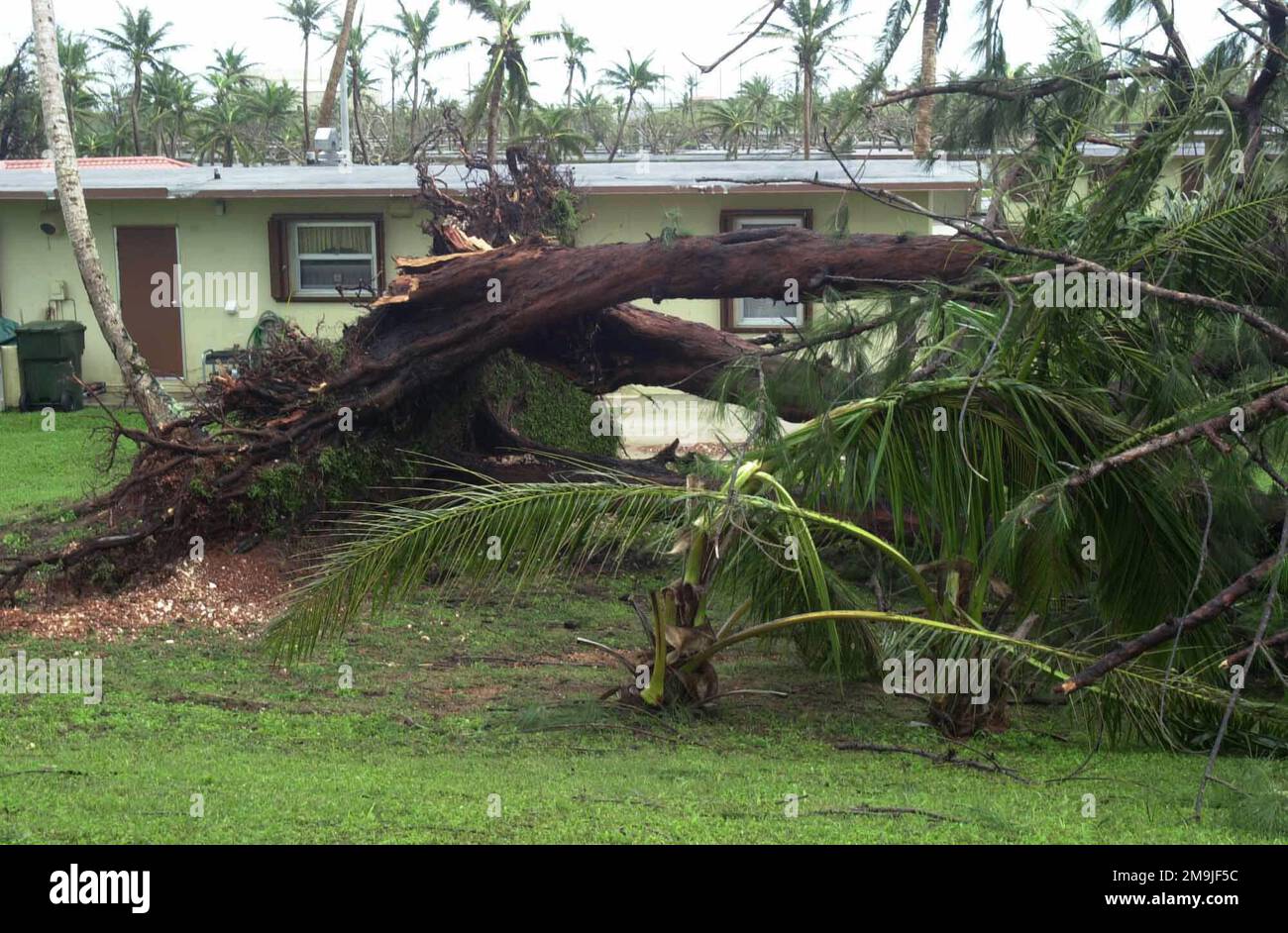 021209-F-8982F-109. Base: Andersen Air Base State: Guam (GU) Country ...