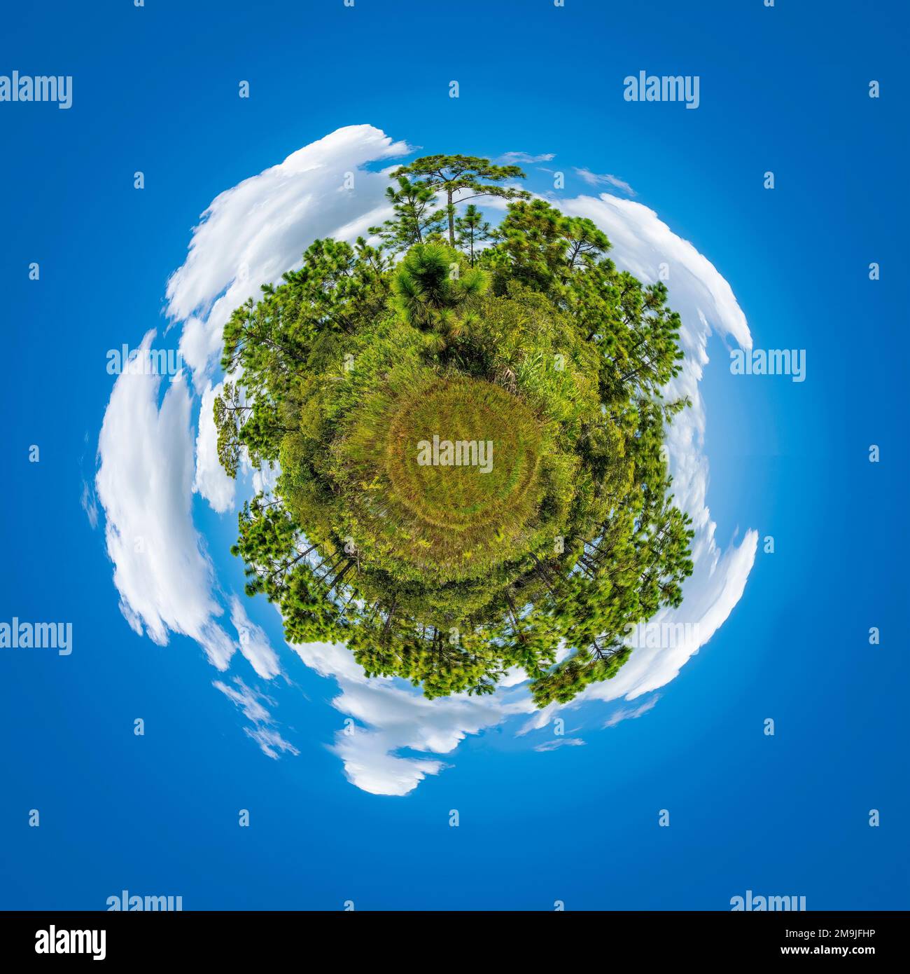 Abstract spheric picture of Babcock Webb Wildlife Management area ...